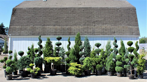 Bountiful Farms | Plant Family Collection